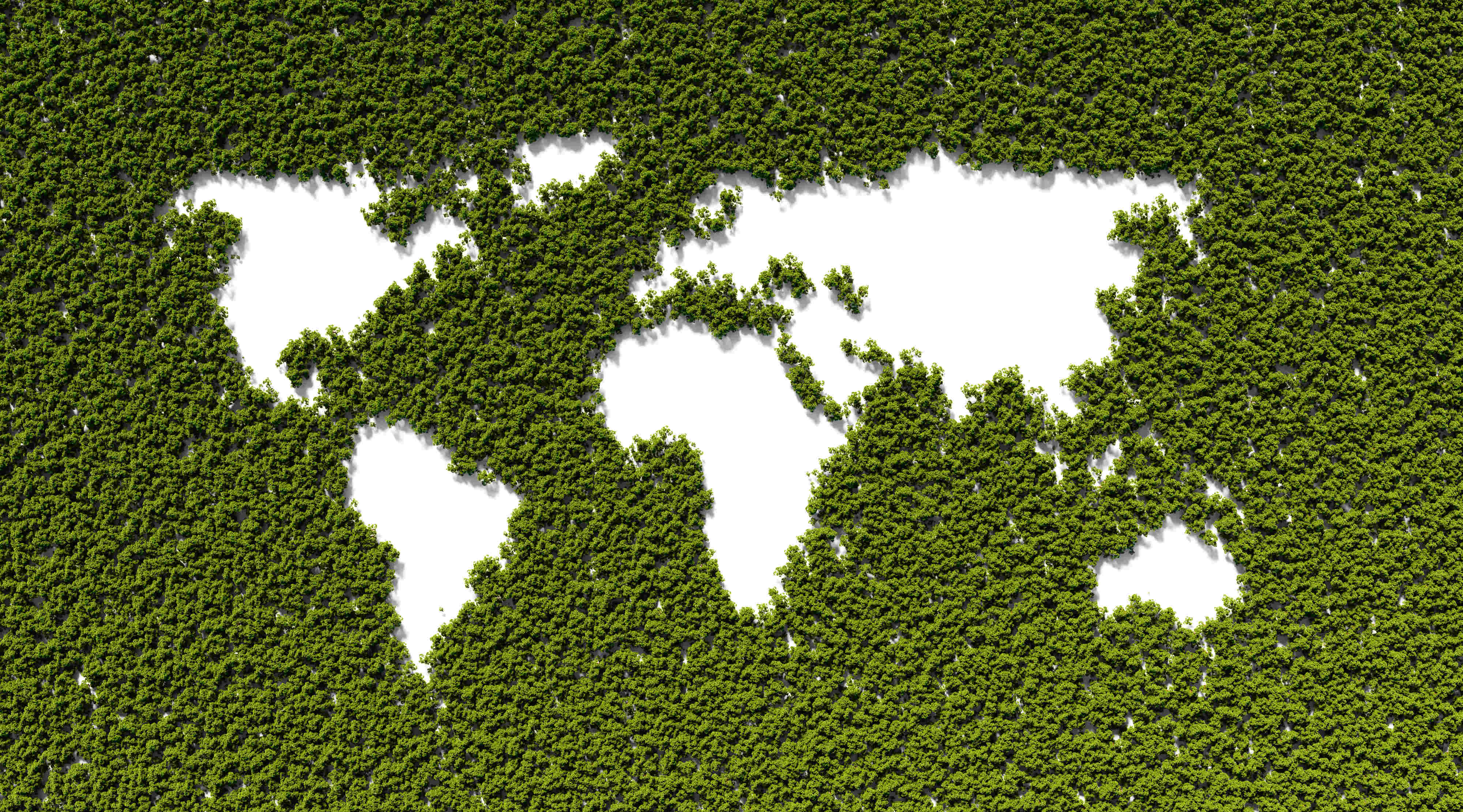 Published May 3, 2019 at 4000 × 2222 in Go Green at These Four Mega ...